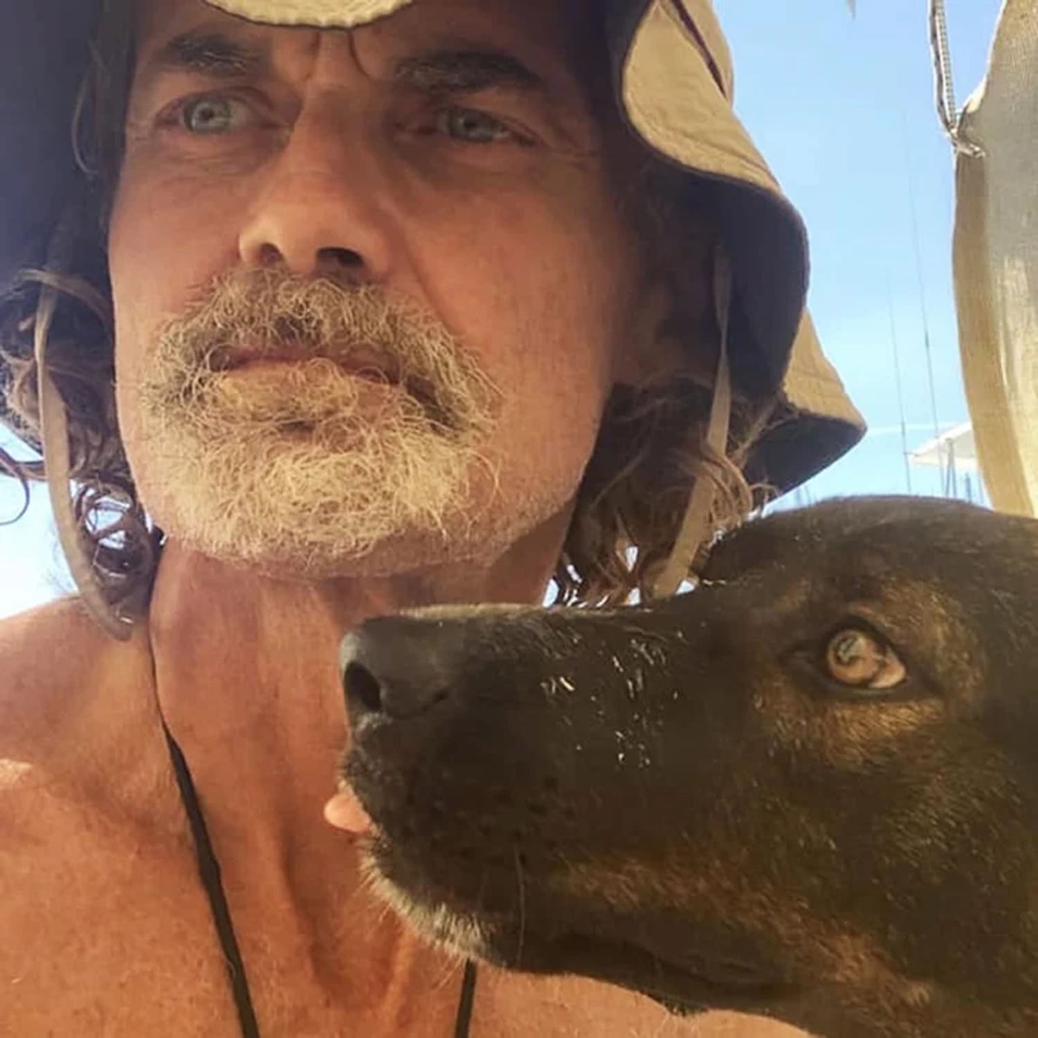 Castaway Miracle: Tim & Bella's Ocean Survival Tale – My Pet Matters